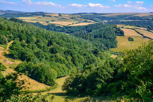 Somerset – iVisit Info Display